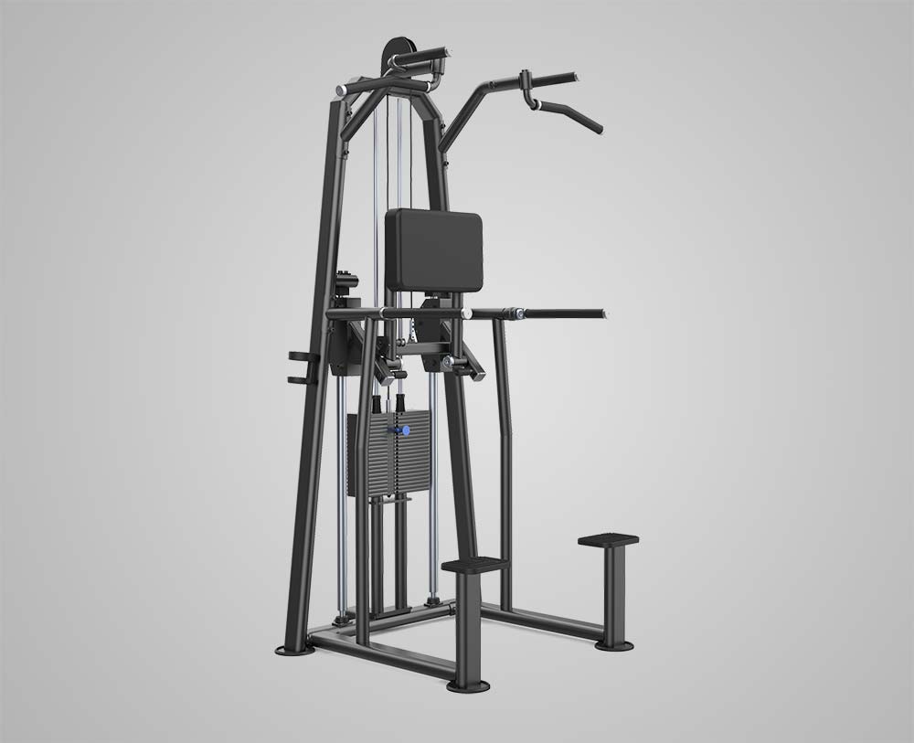 EVOST III DUAL DIP / CHIN ASSIST – Leaderfit’ Equipement